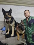 Cheshi suda (Katyushki Street No:53Ж), evcil hayvan kuaförleri  Lobnia'dan