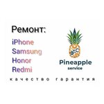 Pineapple service (Kirova Avenue No:210), telefon tamir servisi  Samara'dan