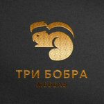 Tribobra (Promyshlennaya ulitsa No:5/1, Gribki Village), mobilya fabrikaları  Moskova ve Moskovskaya oblastından