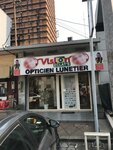Opticien lunetier (Abidjan, La commune Le Plateau, Avenue Terrassons de Fougères), optik  Abican'dan