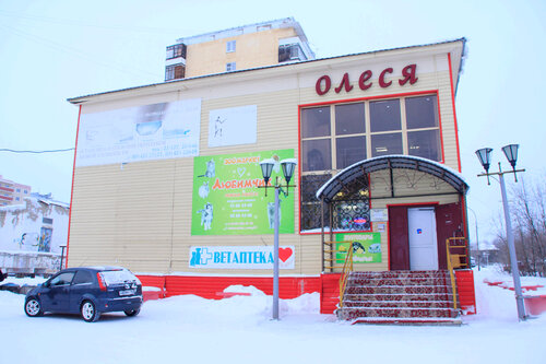 Fotoğraf hizmetleri FotoKod, Mirny, foto