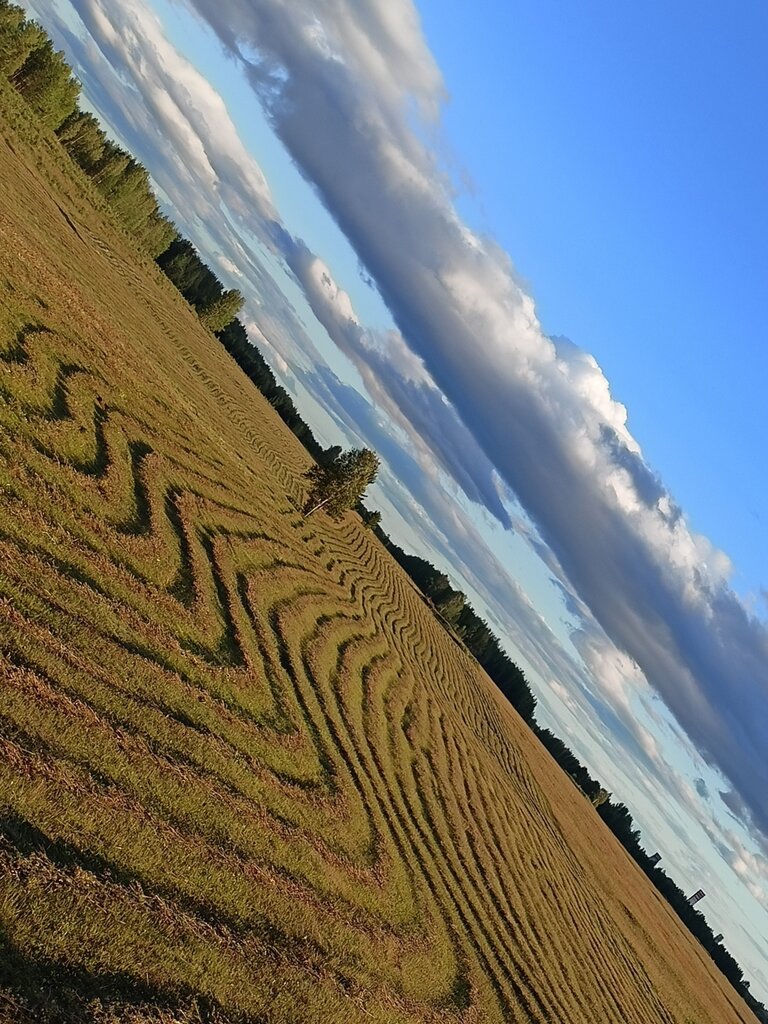 Nakliye firmaları Жд Тупик, Severouralsk, foto