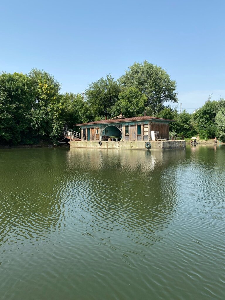 Orman Пашковские плавни, Krasnodar, foto