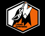 Usib_Gaming (ulitsa Matrosova No:1), bilgisayar kulübü  Usolye‑Sibirskoye'den