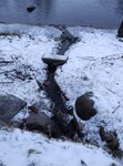 Spring, stream (St. Petersburg, Sestroretsk, istoricheskiy rayon Razliv), pınar, çay  Sestroretsk'ten