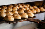 Advanced Baking Concept L. L. C (FE, 86 Street, Dubai Investments Park 1, Jebel Ali, Dubai), ekmek fırını  Dubai'den
