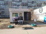 Трикотаж (Kosmonavtov Boulevard No:18Ас1, 15th Quarter), örme üretimi  Tolyatti'den (Togliatti'den)