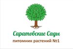 Саратовские сады (prospekt imeni 50 let Oktyabrya No:91Н), fidan yetiştiriciliği  Saratov'dan