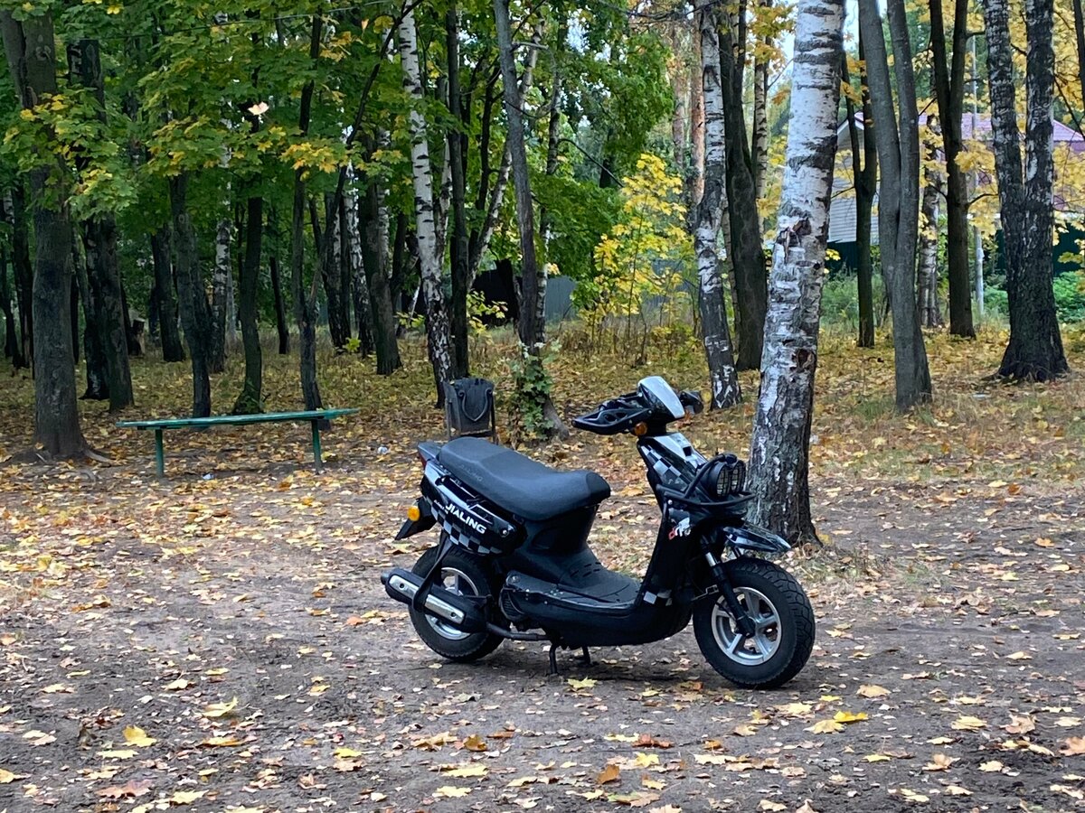 Купить б/у Jialing JL50QT-30 карбюратор Вариатор в Малаховке: чёрный ...