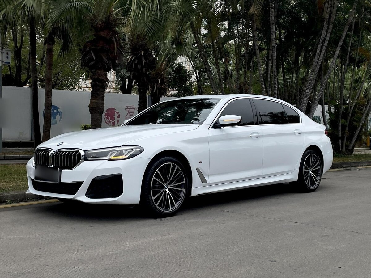 Купить б/у BMW 5 серии VII (G30/G31) Рестайлинг 530Li 2.0 AT (245 л.с.) бензин автомат во ...