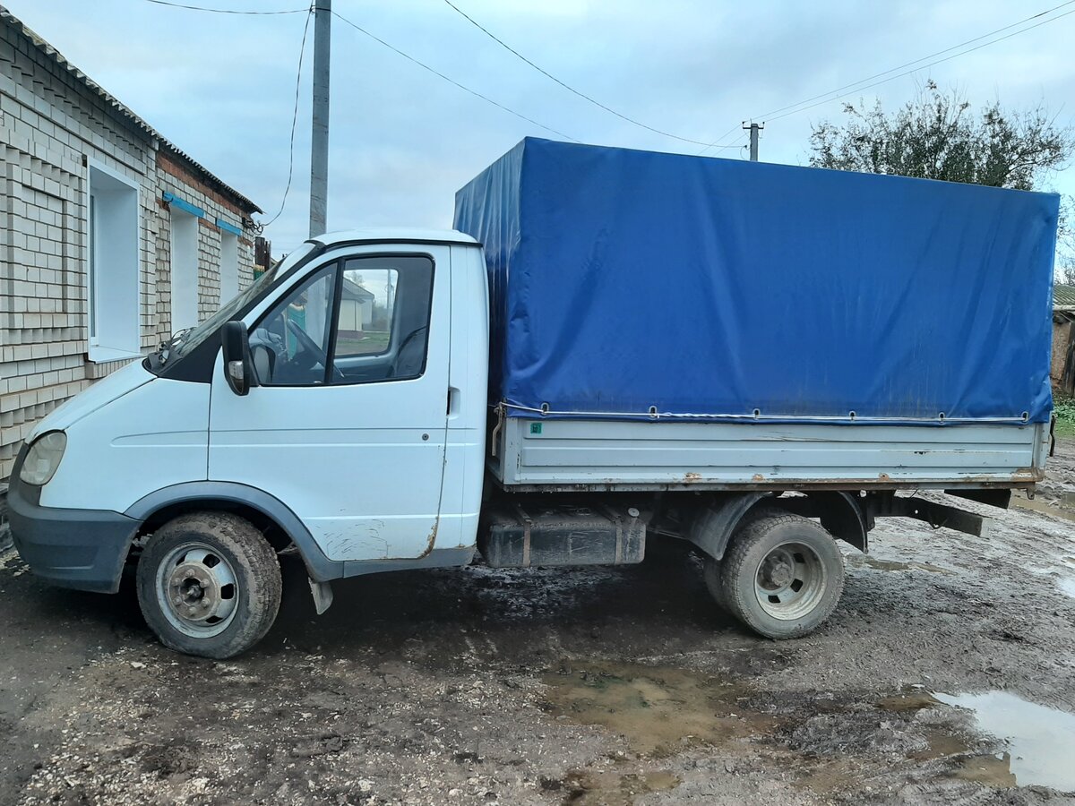 Купить б/у ГАЗ ГАЗель (3302) бензин механика в Саратове: белый тент 2009 года на Авто.ру ID 19419485