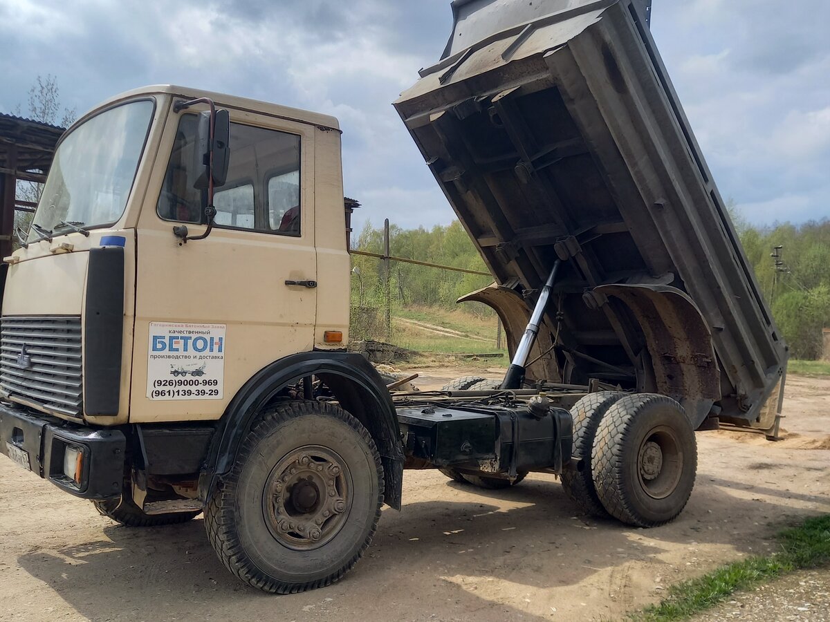 Купить б/у МАЗ 5551 дизель механика в Гагарине: бежевый самосвал 1997 года на Авто.ру ID 1118864574