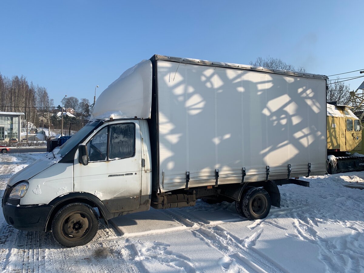 Купить б/у ГАЗ ГАЗель (3302) дизель механика в Санкт-Петербурге: белый ...