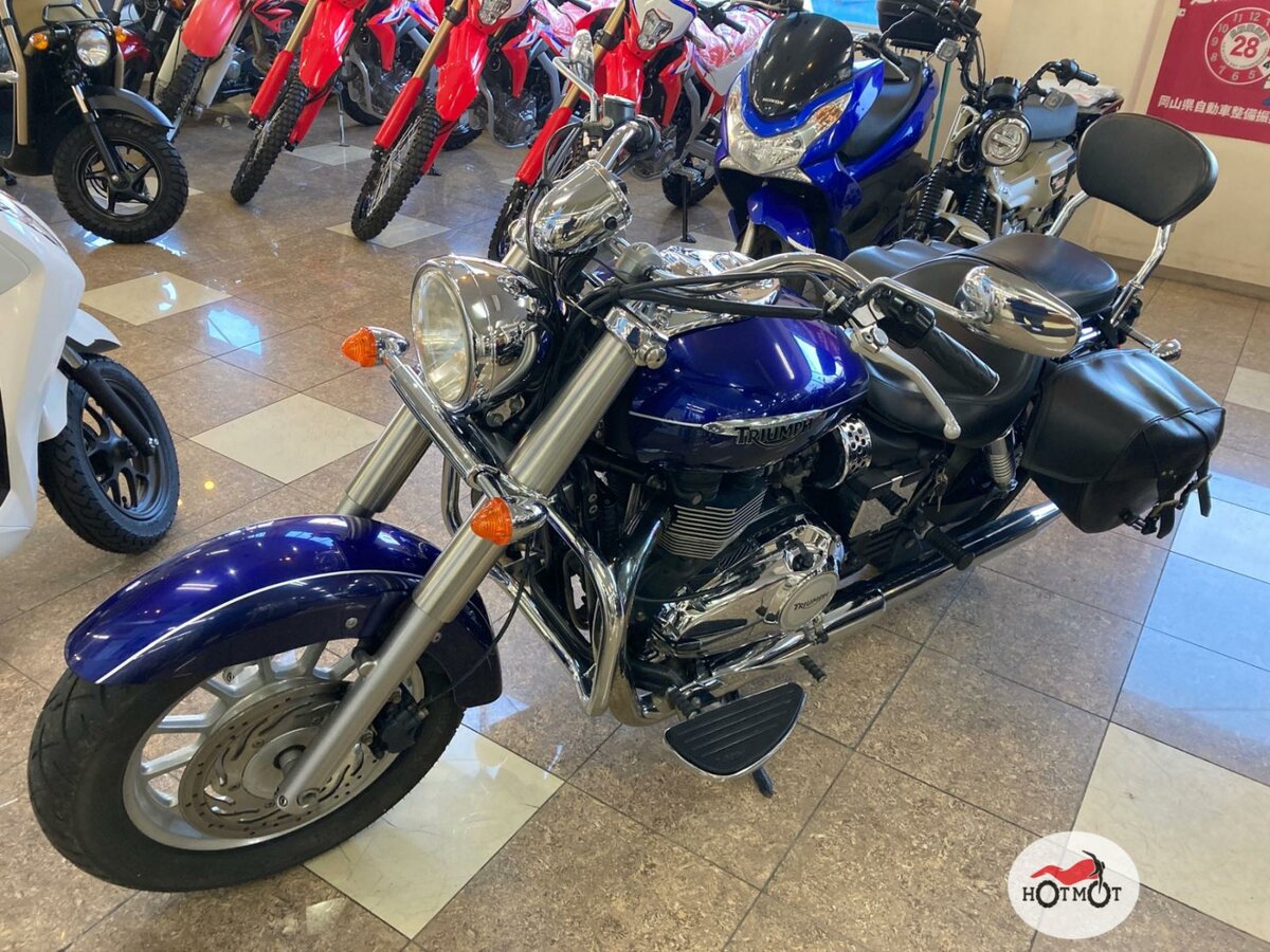 Купить б/у Triumph America инжектор 5 передач в Москве: синий круизер ...