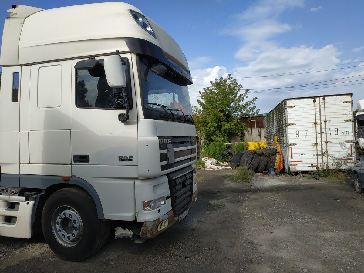 Купить б/у DAF XF 105 дизель в Брянске: белый 2010 года на Авто.ру ID ...