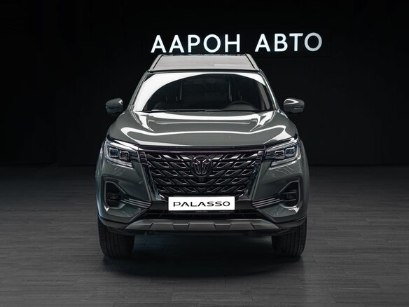 Купить новый Oting Palasso 2024-2025 2.0 AT (218 л.с.) 4WD бензин автомат в Москве: серый Отинг ...