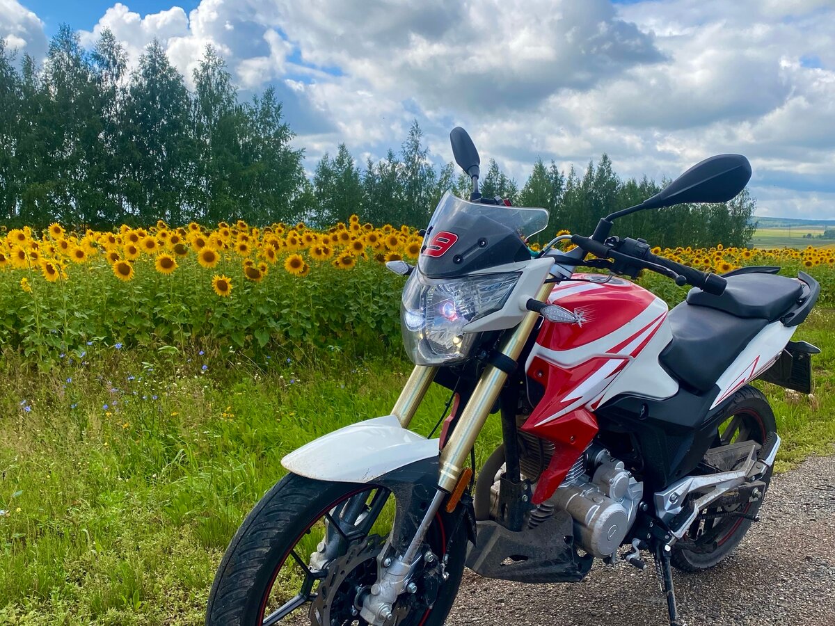 Купить б/у Zongshen ZS200 карбюратор 5 передач в Лениногорске: красный naked bike 2021 года на ...