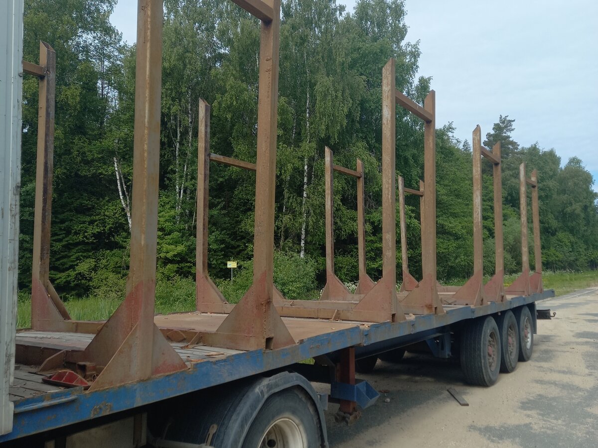 Купить б/у Schmitz Cargobull S01 во Владимире: синий полуприцеп-лесовоз ...