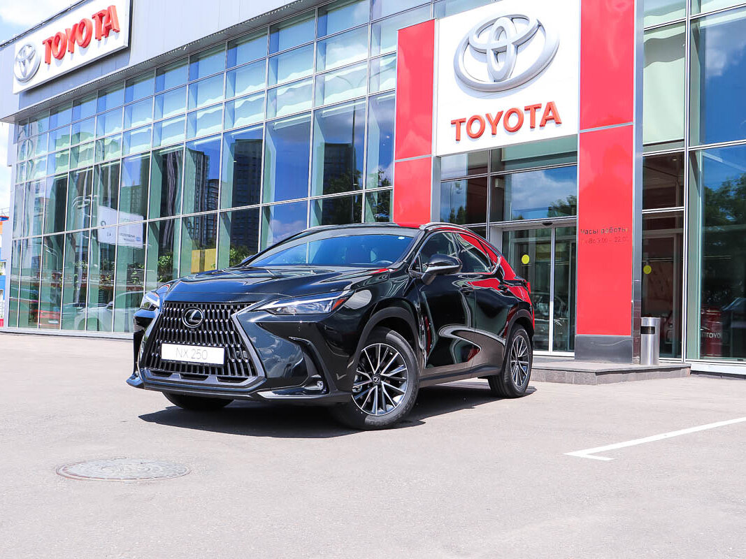 Купить новый Lexus NX II 250 2.5 AT (200 л.с.) 4WD бензин автомат в ...