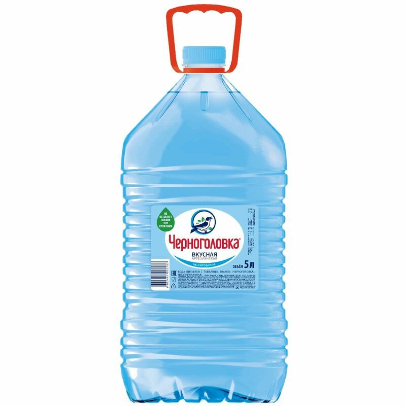 Купить Вода Черноголовка Вкусная природная питьевая негазированная, 5л ...