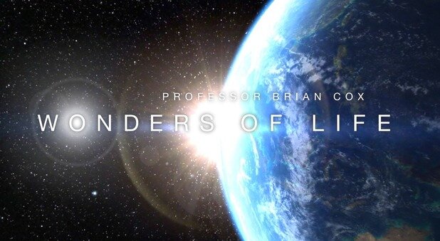 Wonders of Life - Yawiki