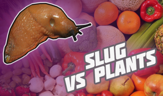 Slug VS Plants (oleh JASTCORE)- mainkan online secara gratis di Yandex ...