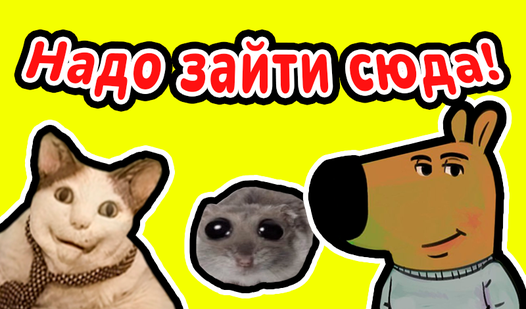 Надо зайти сюда! (დან Tarakan Games)- ითამაშეთ ონლაინ უფასოდ სერვისზე ...