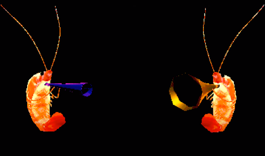 Dancing Shrimp: Duet on the Trumpet: Playhop xidmətində pulsuz onlayn oyna