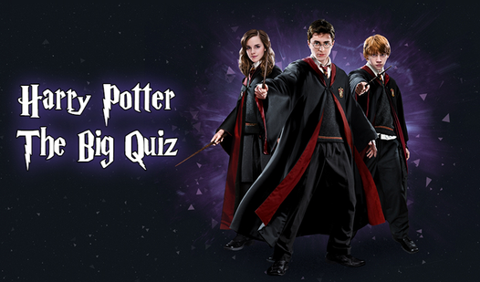 Harry Potter The Big Quiz (by Drowsy Alchemist): Play Online For Free ...