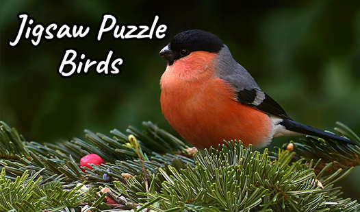 Jigsaw Puzzle Birds (by Tordus Games): Play Online For Free On Playhop