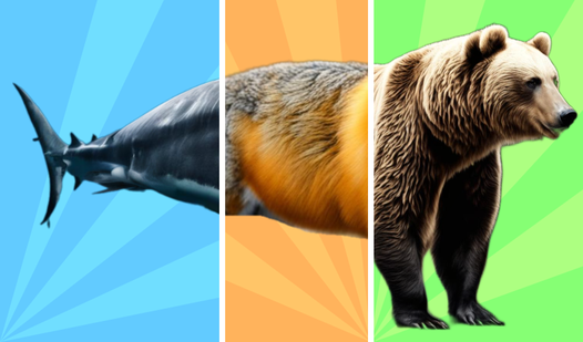 Animal Connection Laboratory (by LongCourse) - play online for free on ...