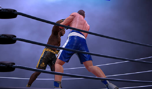 Ultimate Boxing | Game Gratis KibrisPDR