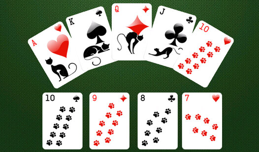 Cat Solitaire | Game Gratis KibrisPDR