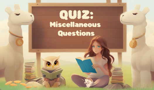 Quiz: Miscellaneous Questions | Game Gratis KibrisPDR