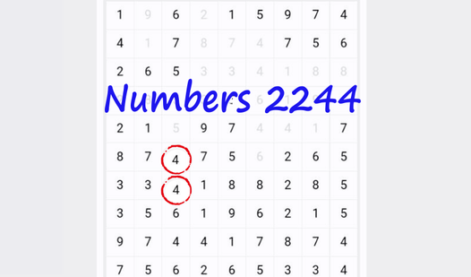 Numbers 2244 (by elsid.apps): Play Online For Free On Playhop