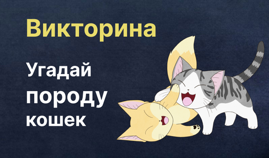 Викторина: Угадай породу кошек (ад olia-developer) - гуляць анлайн ...