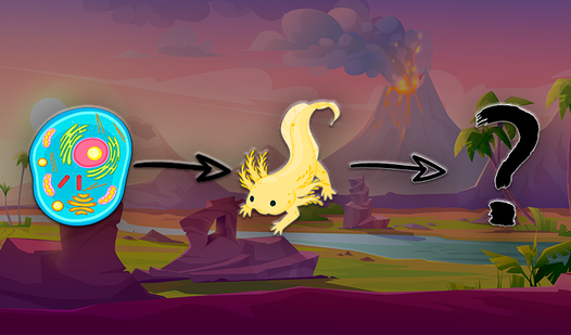 Evolution Clicker | Game Gratis KibrisPDR