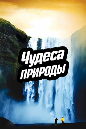 Чудеса природы (сериал, 1-2 сезоны, все серии), 2012 — описание ...
