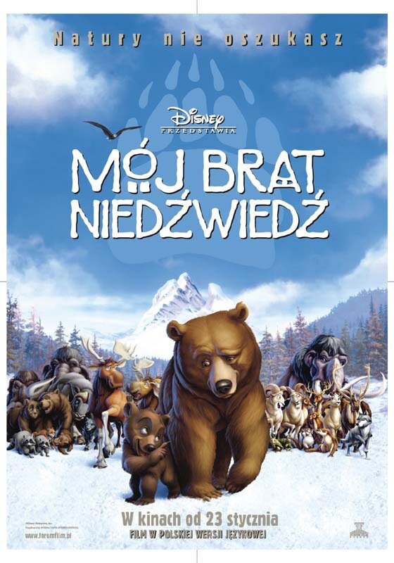 Постеры: Братец медвежонок / Постер фильма «Братец медвежонок» (2003 ...