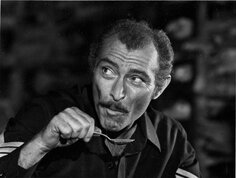 Ли Ван Клиф (Lee Van Cleef): фильмы, биография, семья, фильмография ...