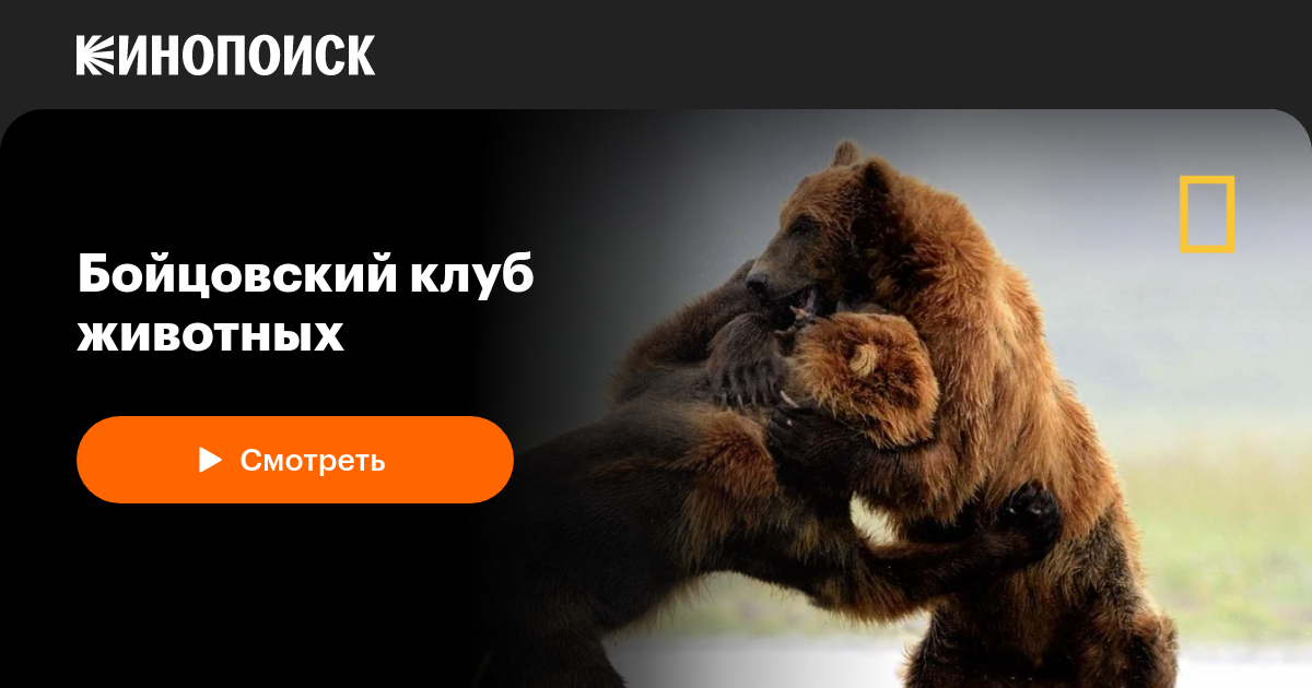 Бойцовский клуб животных (сериал, все серии, 1 сезон), 2012-2020 ...