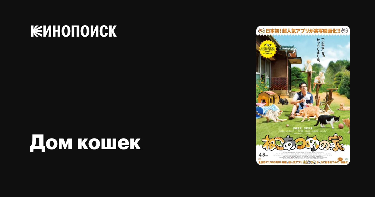 Дом кошек — Кинопоиск
