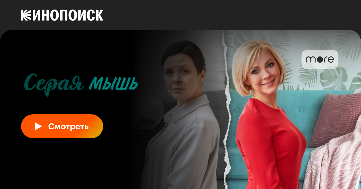 Серая мышь (сериал, 1 сезон, все серии), 2023 — описание, интересные ...