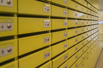 Travel ind Dubai - Discover Dubai with Yango Drive: Car Rentals and ...