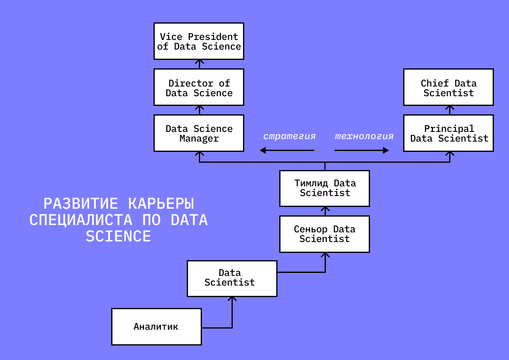 Отличия аналитика данных от Data Scientist в чем разница между