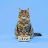 Профессиональный подход к питанию