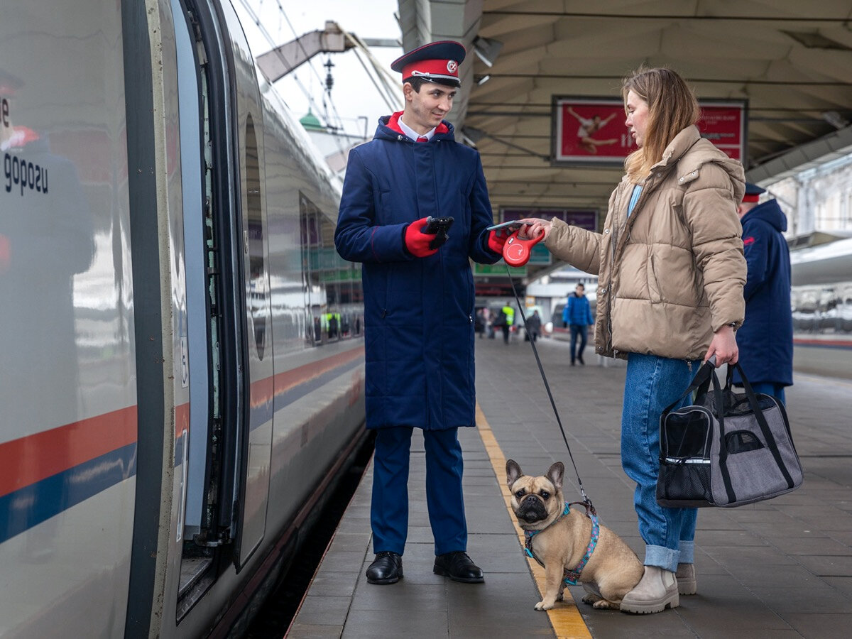 Что такое невозвратный тариф билетов РЖД, сколько они стоят и можно ли ...