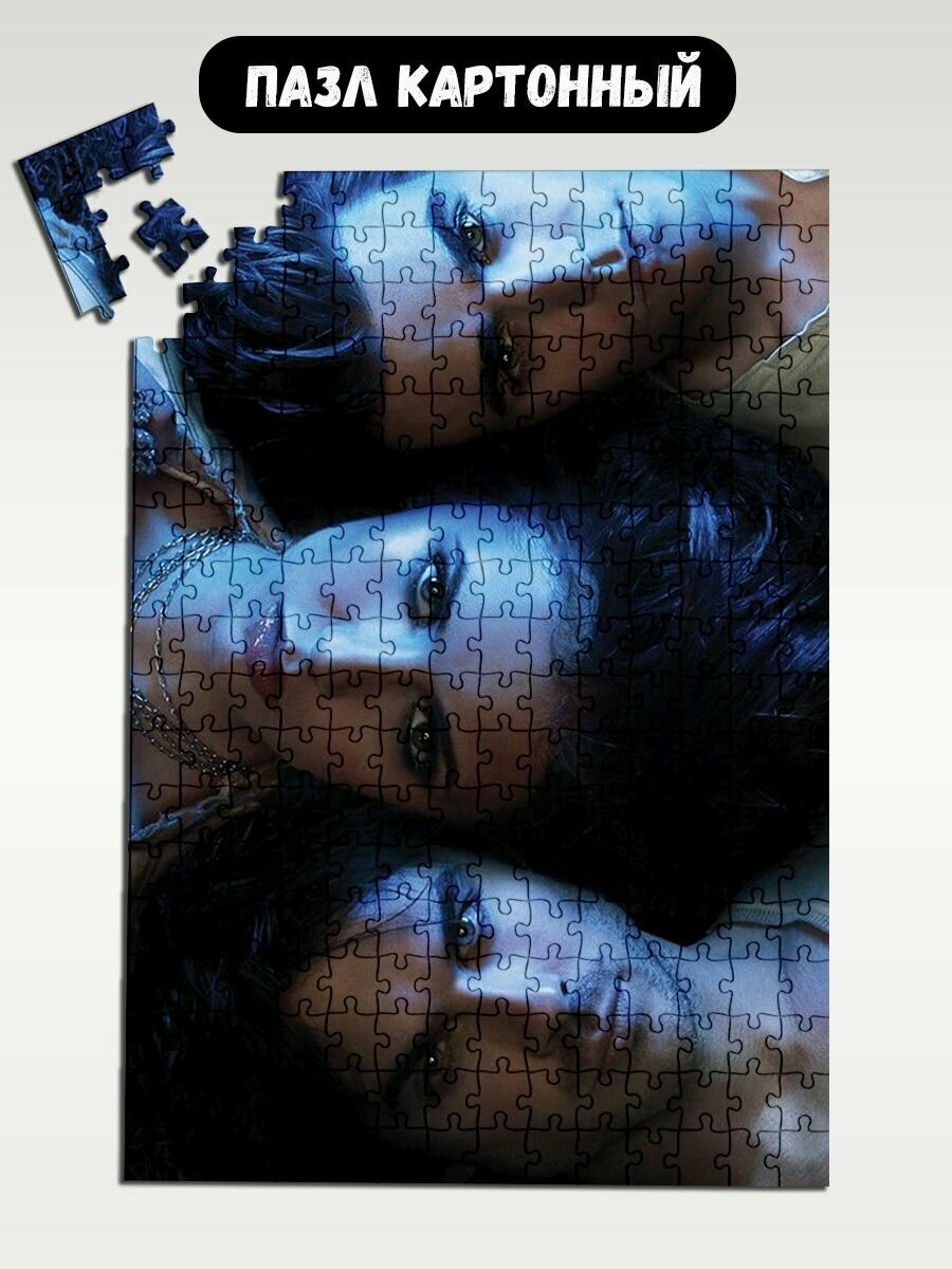 Пазл картонный А3: модель Сериал Дневники вампира - 2126