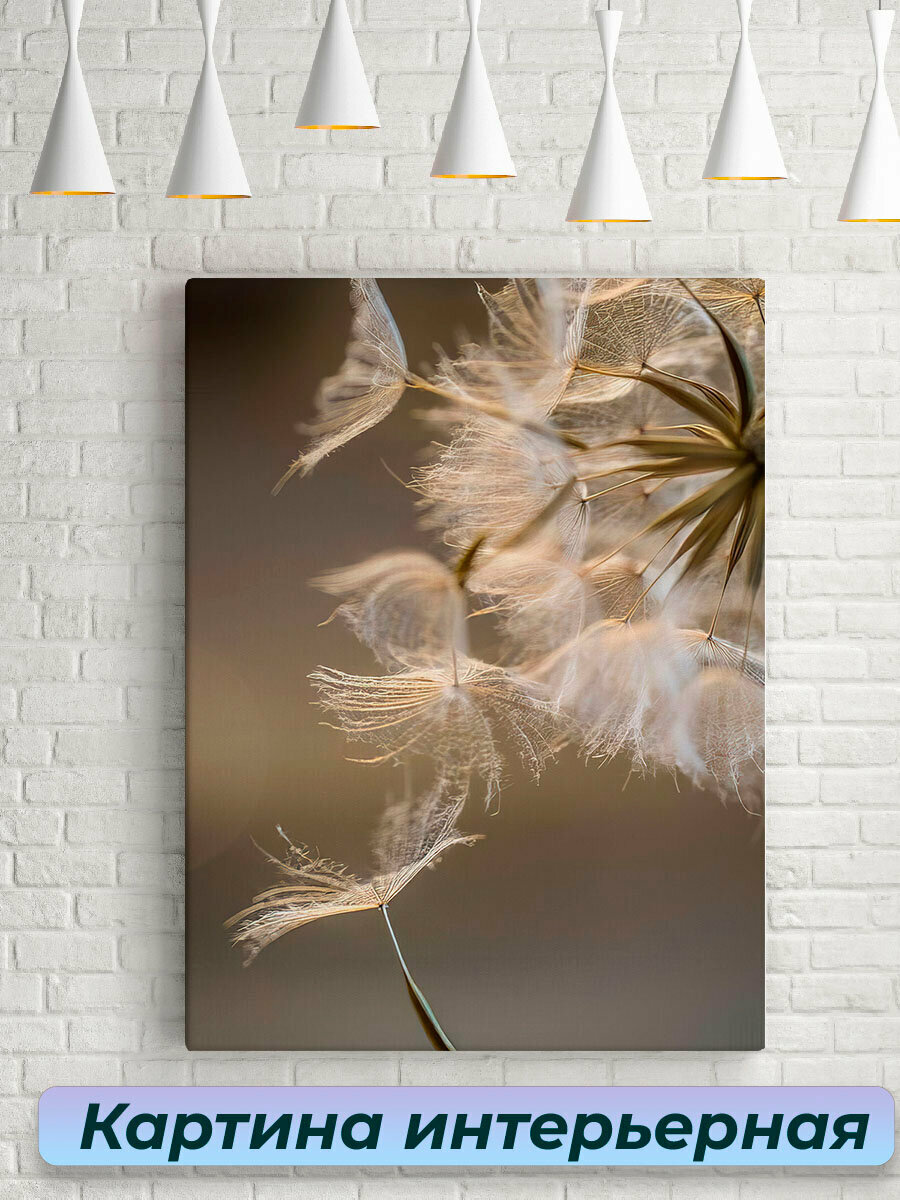 Картины для интерьера 30х40 Одуывнчик арт