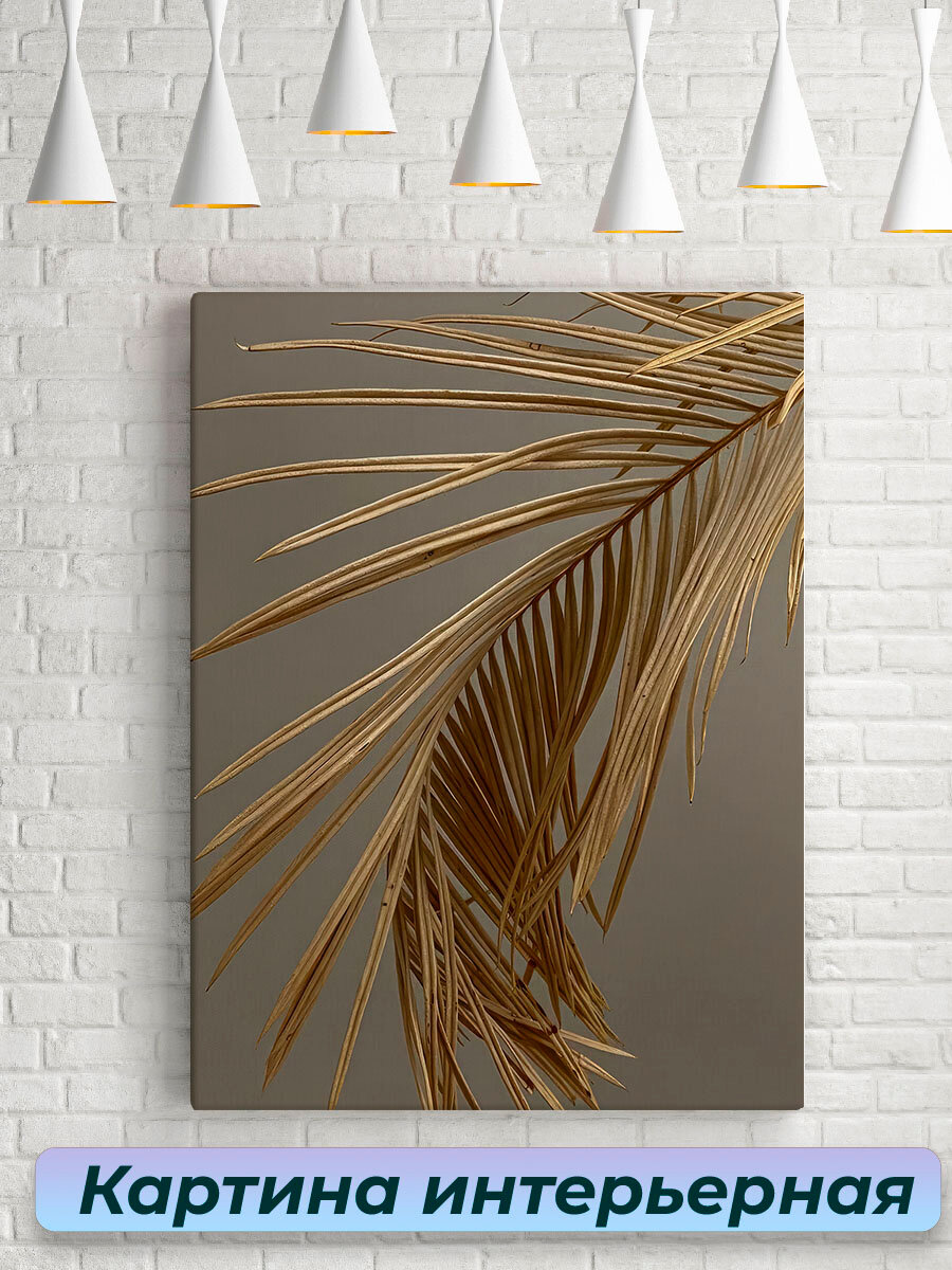 Картины для интерьера 40х60 Листья сухоцвет хамедорея